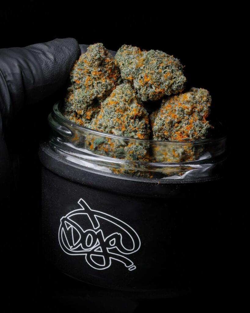 THC VAPE | THC VAPES UND CANNABIS ONLINE KAUFEN